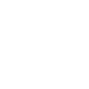 The BIRN Group | BIRN Germany